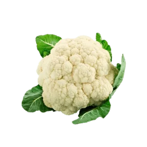 Horticorp Online / Horticorp Free Home Delivery Veg & Fruits | Organic ...